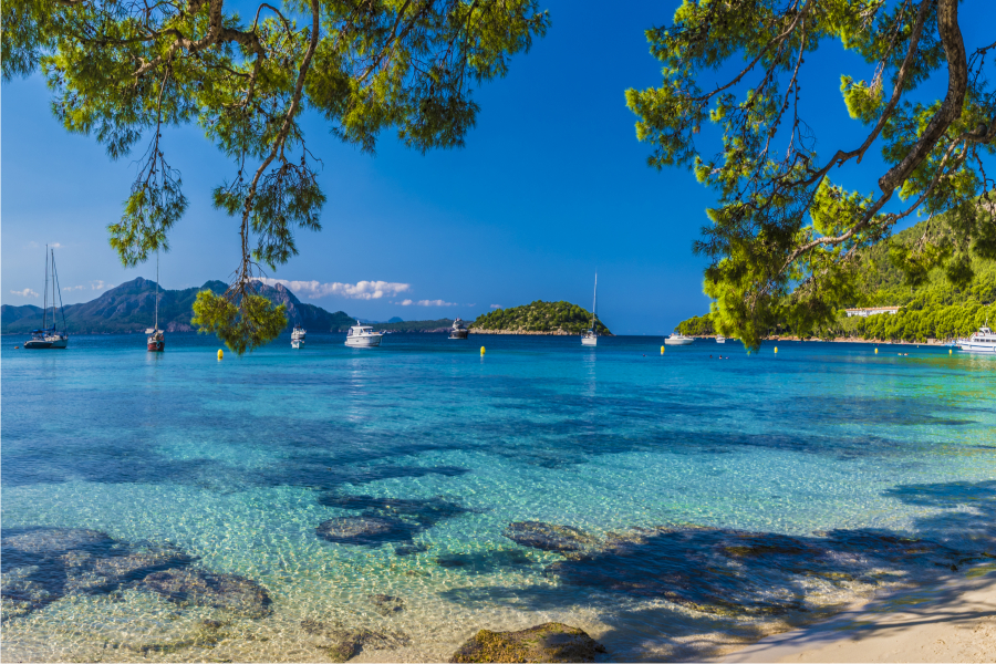 Interpass - Bem-vindo ao Grupo Interpass