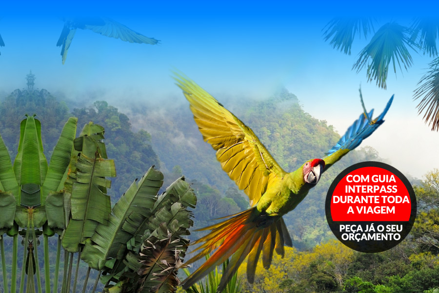 Interpass - Bem-vindo ao Grupo Interpass